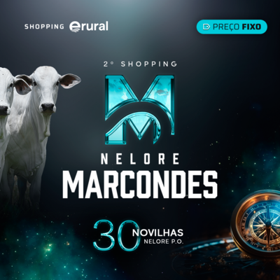 2º SHOPPING NELORE MARCONDES - Ao Vivo