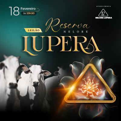 LEILÃO RESERVA LUPERA 2ª ETAPA - erural